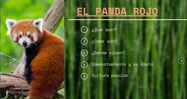 Presentacion panda rojo Elena | Genially