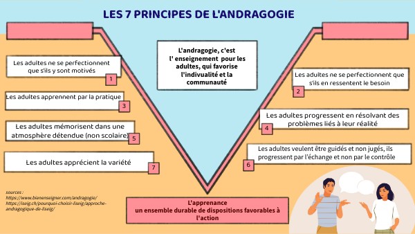 7 principes andragogie