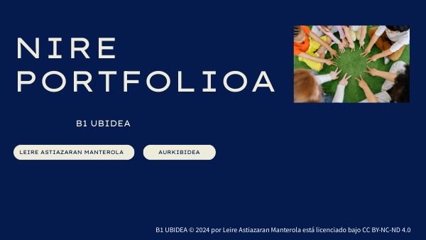 NIRE PORTFOLIOA