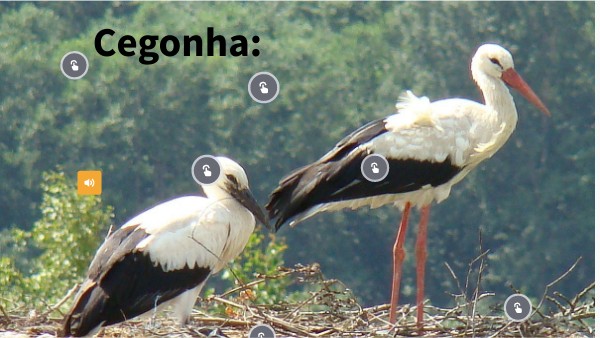 Cegonha