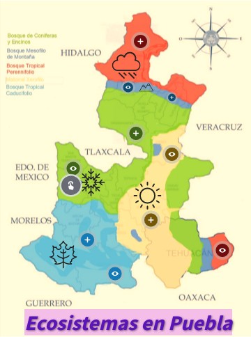 Mapa del Estado de Puebla | Genially