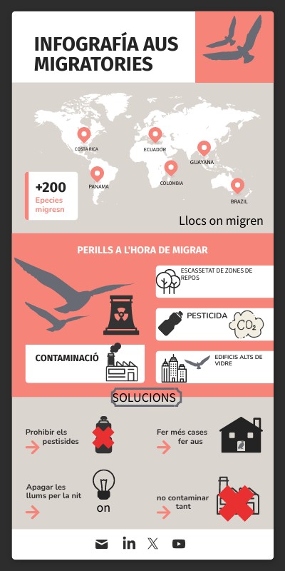Infografía Académica | Genially