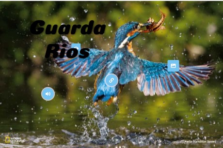 Guarda rios | Genially