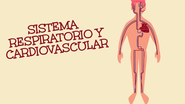 Presentación SISTEMA RESPIRATORIO Y CARDIOVASCULAR | Genially