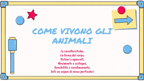Come vivono gli animali