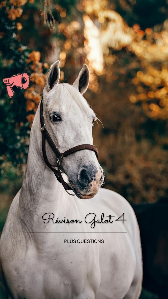 Révison Galot 4