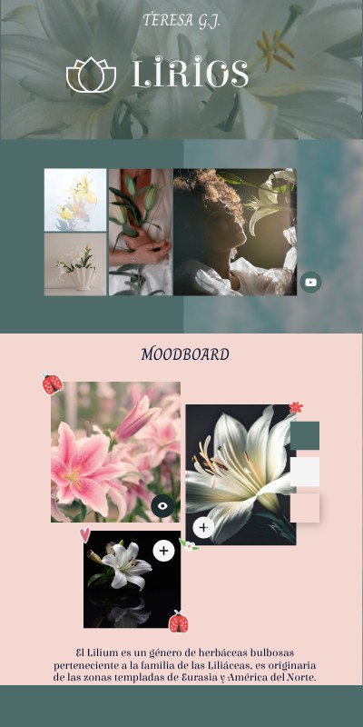 PRACTICA 2_TERESA.G.J. | Genially