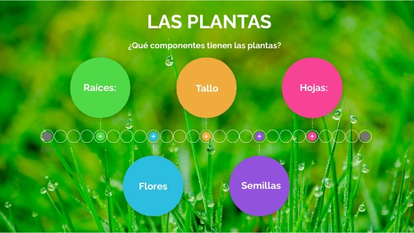 Diagrama practica 3 | Genially