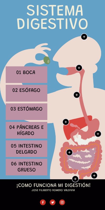 SISTEMA DIGESTIVO | Genially