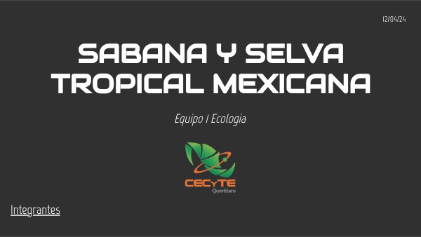 Sabana y Jungla | Genially