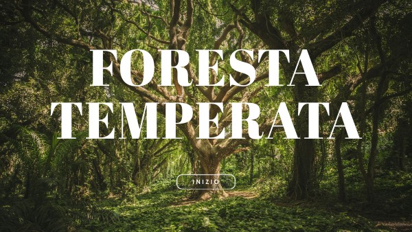FORESTA TEMPERATA