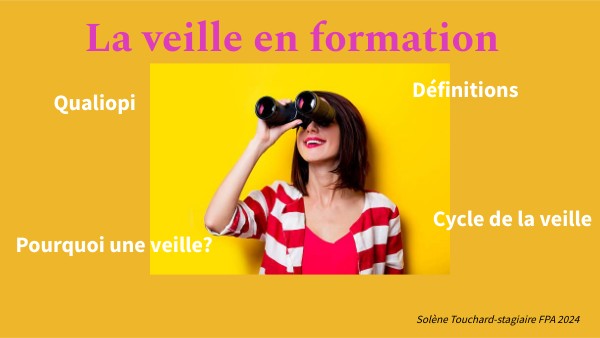 La veille en formation