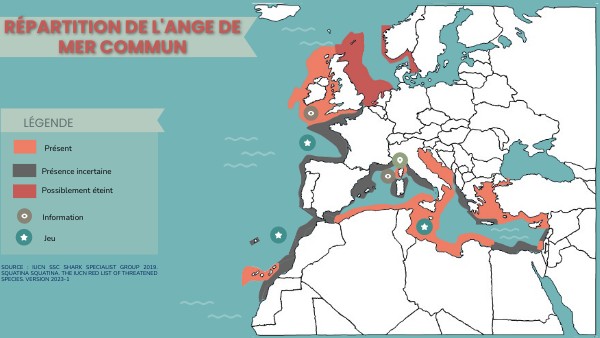 Ange de mer | Genially