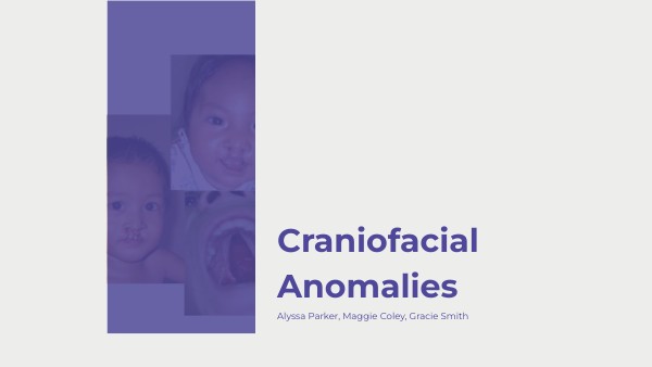 Craniofacial Anomalies Booklet | Genially
