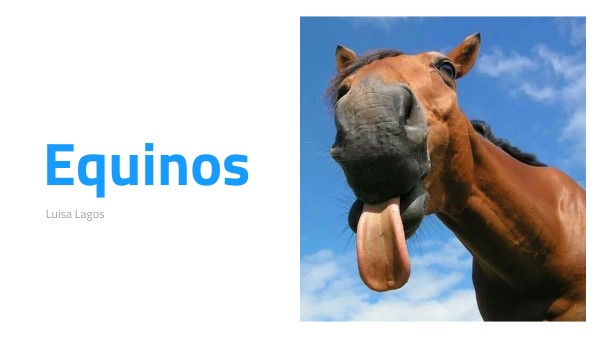 Equinos | Genially
