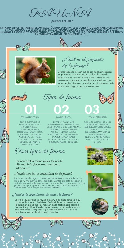 INFO VERTICAL MARIPOSAS