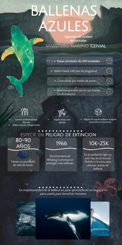 Infografía ballena azul | Genially