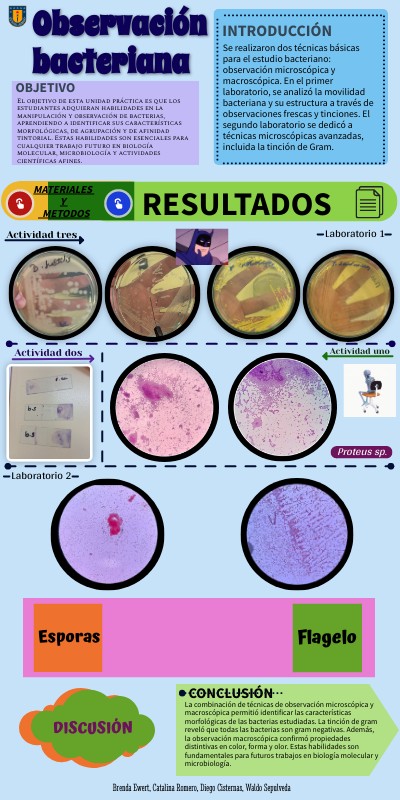 Infografia Microbio | Genially