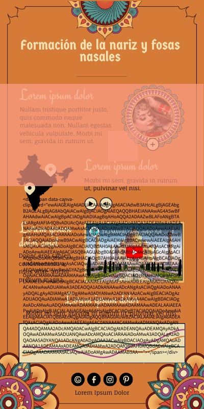 VERTICAL INFO INDIA | Genially