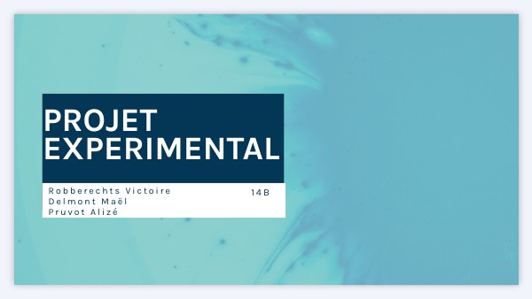 Projet ES Victoire Mael Alizé