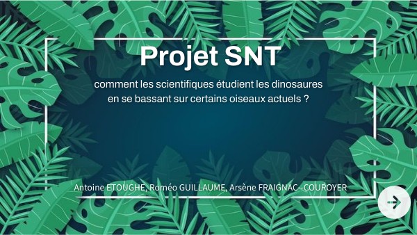 Projet SNT