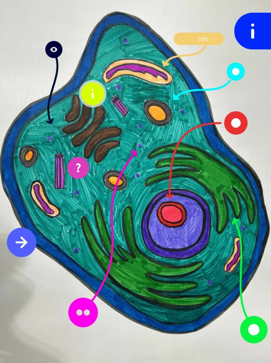 Imagen interactiva de una CÉLULA ANIMAL