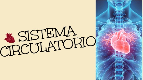 Aparato circulatorio | Genially
