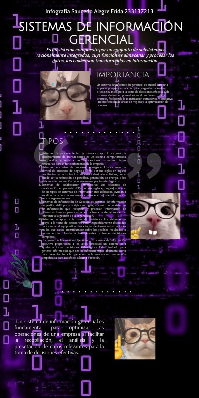 Infografía SIG | Genially