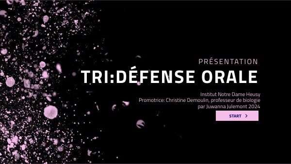 Défense orale | Genially