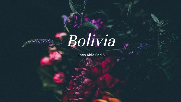 diaporama sur la bolivie ines abid