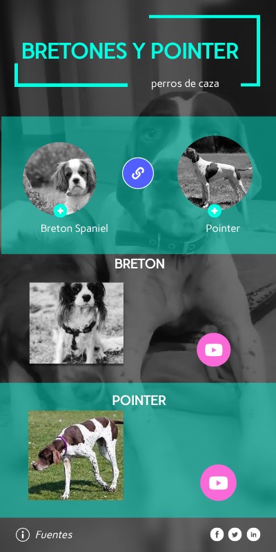 bretones y pointer | Genially