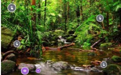 Imagen interactiva de la selva