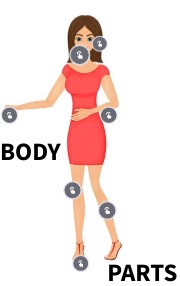Body parts