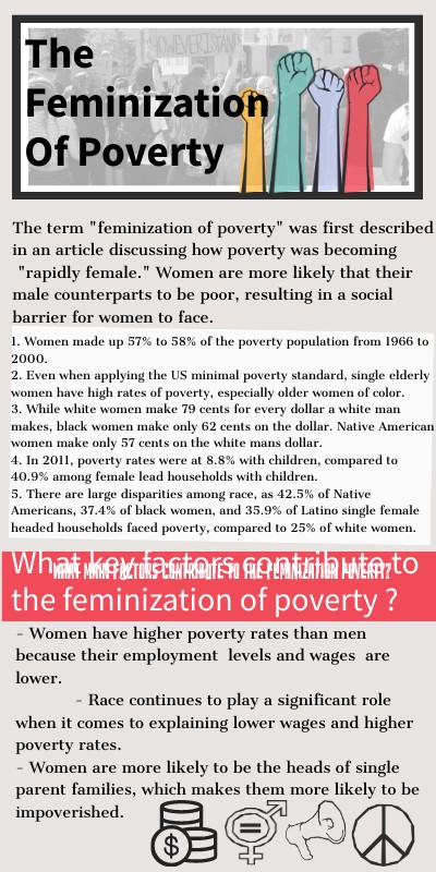 Human Rights Infographic