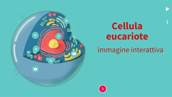 Poster interattivo cellula | Genially