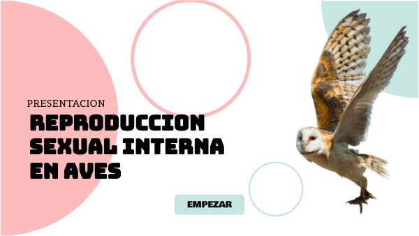 PRESENTACIÓN AVES | Genially