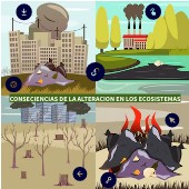 ALTERACION EN LOS ECOSISTEMAS