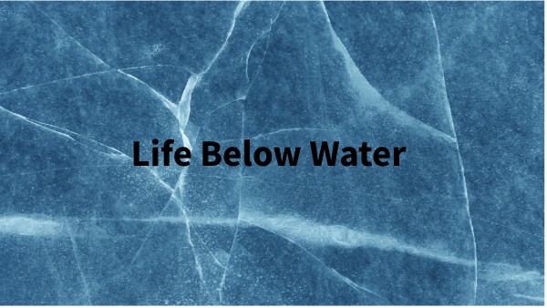 Life Below Water