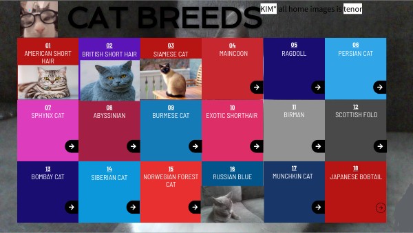 Tech project | Genially