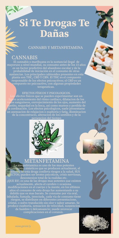 infografia las drogas | Genially
