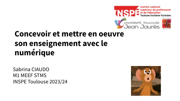 Portfolio Numerique S8