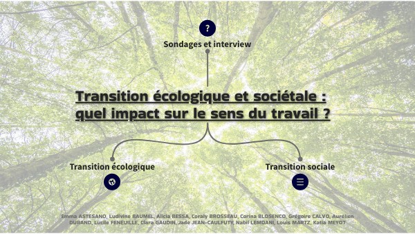 Poster numérique