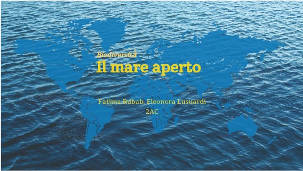 IL MARE APERTO