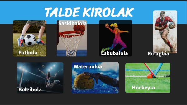 Irisgarritasuna eta inklusioa