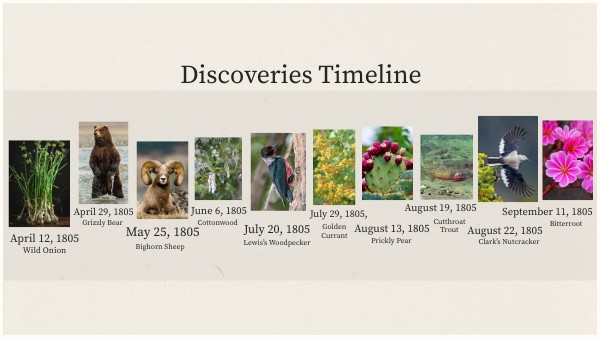 IMAGES TIMELINE | Genially