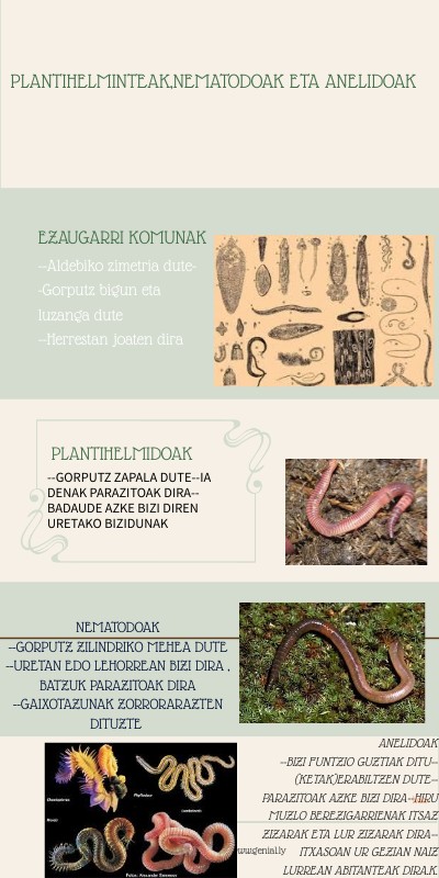 INFO ART NOUVEAU | Genially