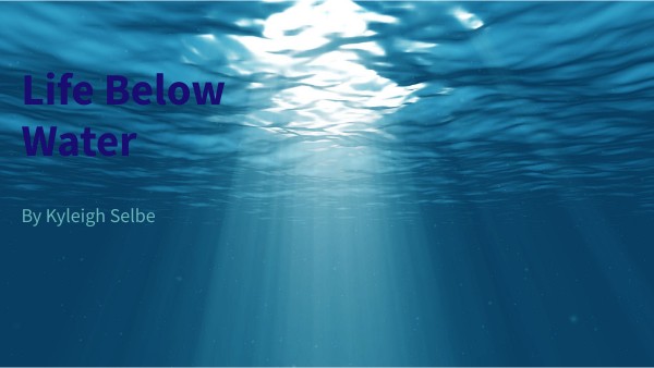 Life Below Water | Genially