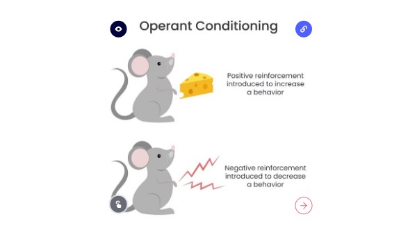 Condicionamiento operante