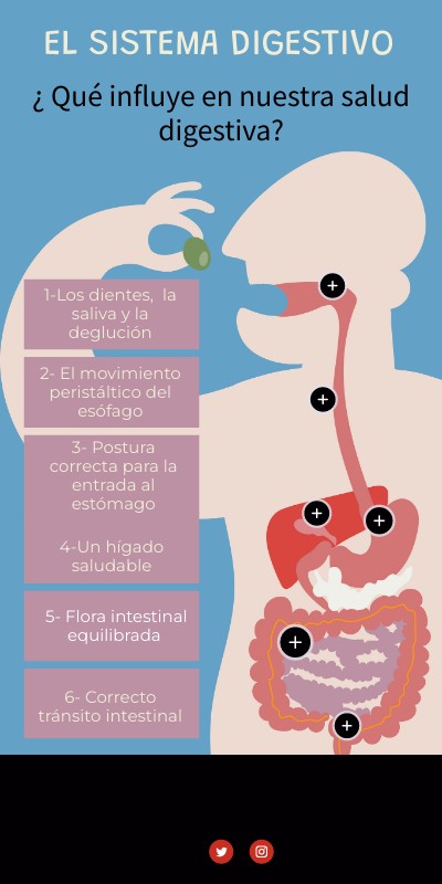 INFO VERTICAL DIGESTIVO | Genially
