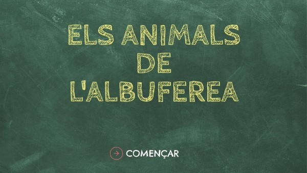 ANIMALS DE L'ALBUFERA (quin animal es?)